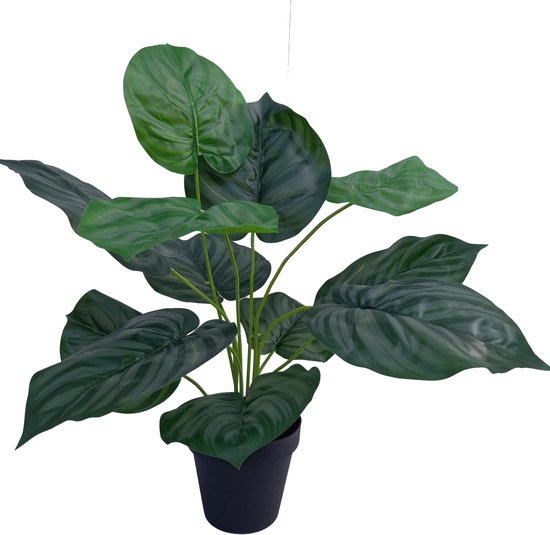 Kunstplant 2x Calathea- Set van 2 - Voor Buiten En Binnen - Terrasplant ...