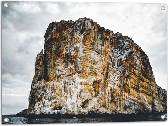 WallClassics - Tuinposter – Grote Bruine Rots op het Water - 80x60 cm ...