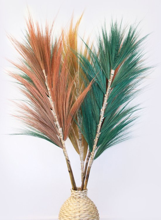 Rayung Gras Pluimen Koraal - Decoratieve Pluimen - 1.6m - Handgemaakt | bol
