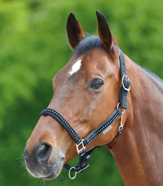 Crystal Halter | Full | bol