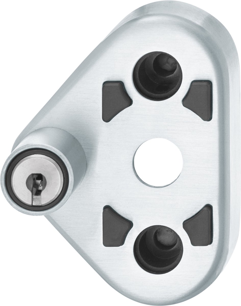 FSB raamslot 2D21 draaikiep inox mat | bol.com