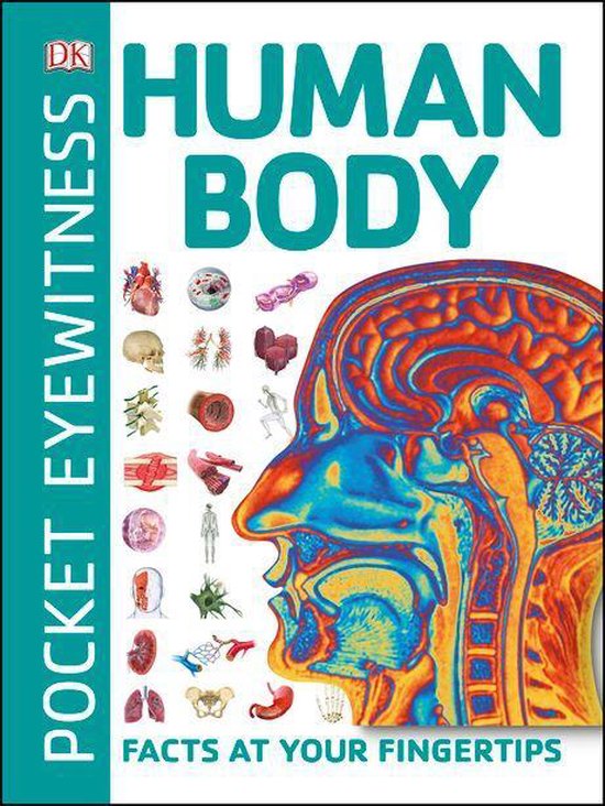 Pocket Eyewitness - Pocket Eyewitness Human Body (ebook), Dk ...