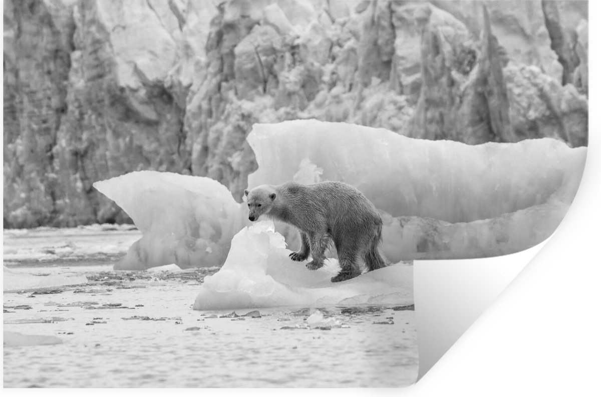 IJsbeer op ijsschots voor ijsberg - zwart wit Muursticker | bol.com