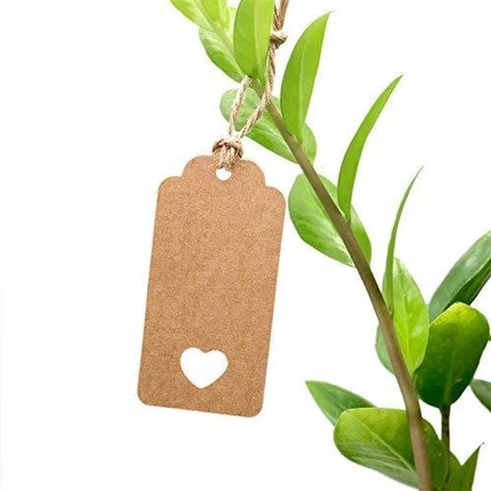Levay – Cadeaulabels met touw – 100 stuks – Kraft karton – 9x4 cm | bol