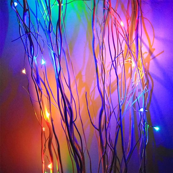 LED Sfeerverlichting - 2 Meters, 20 LEDs, Zilver Draad, Inclusief ...
