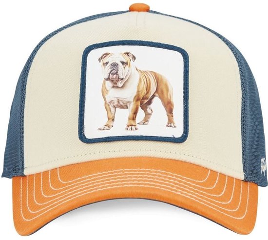 NonBrand Cap Good Boy 5100599 Mulitcolor | bol