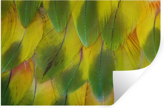 Muurstickers - Sticker Folie - Structuur van gele veren - 30x20 cm ...