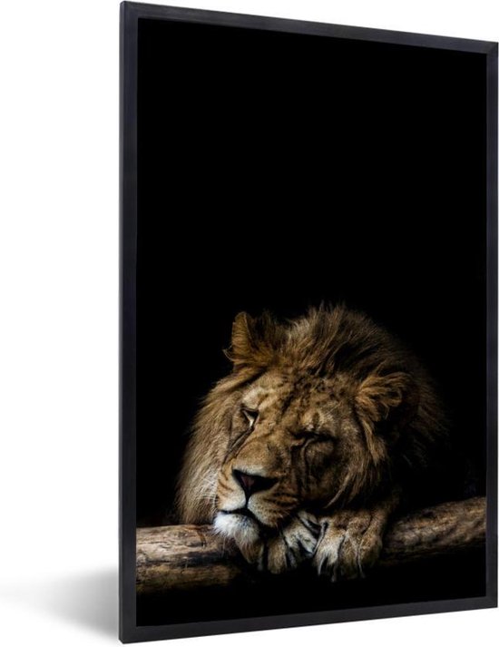 Fotolijst incl. Poster - Boomstam - Leeuw - Wild - 40x60 cm - Posterlijst | bol