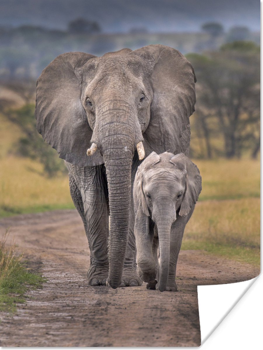 Elephant mère et son petit sur une route dans le cratère du Ngorongoro ...