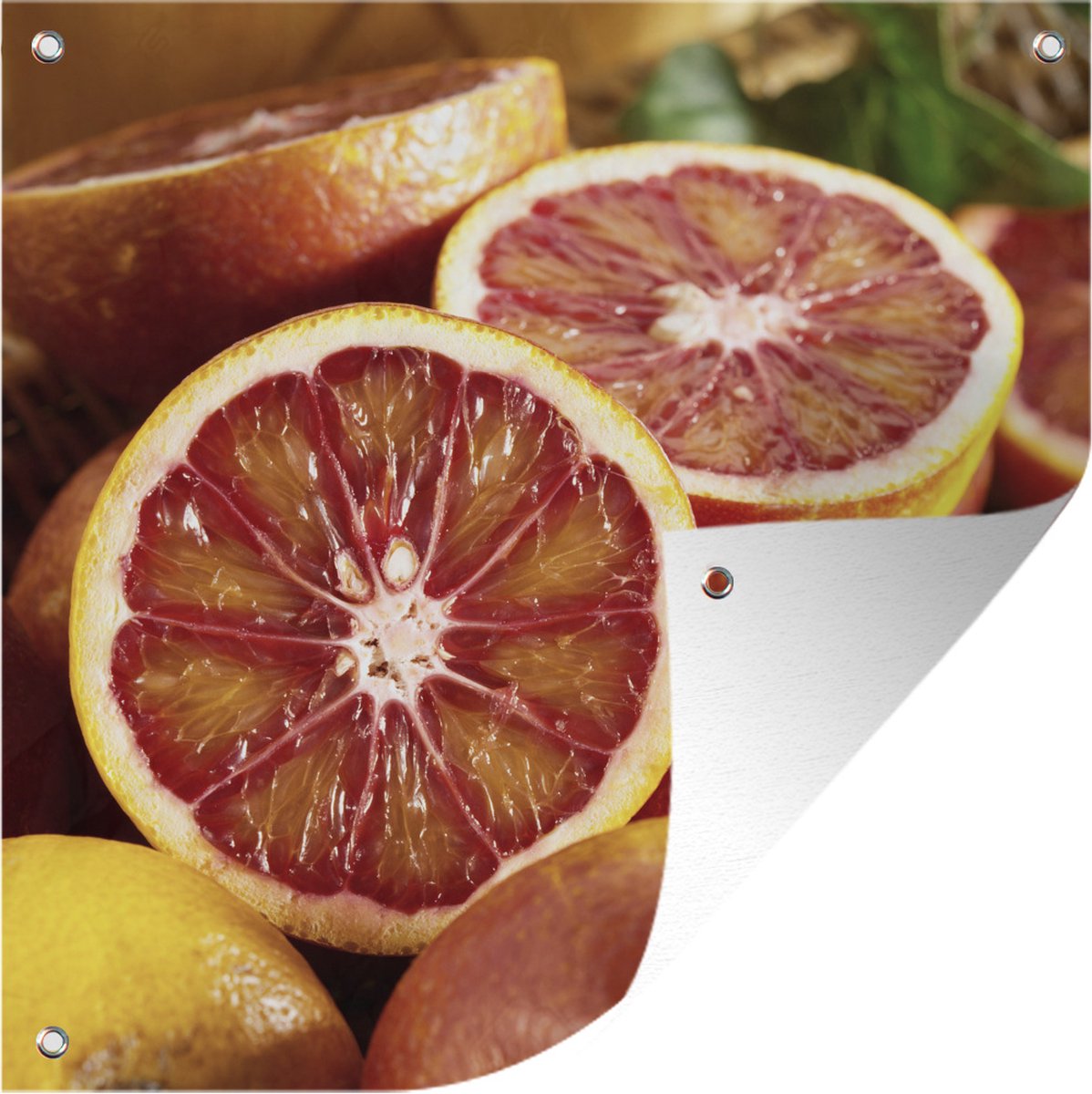 Posters de jardin Fruits - Agrumes - Orange - 50x50 cm - Toile de ...