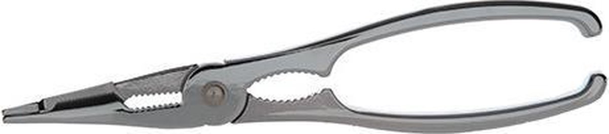 Professionele Kreeftentang - Kreeftenschaar - RVS | bol.com