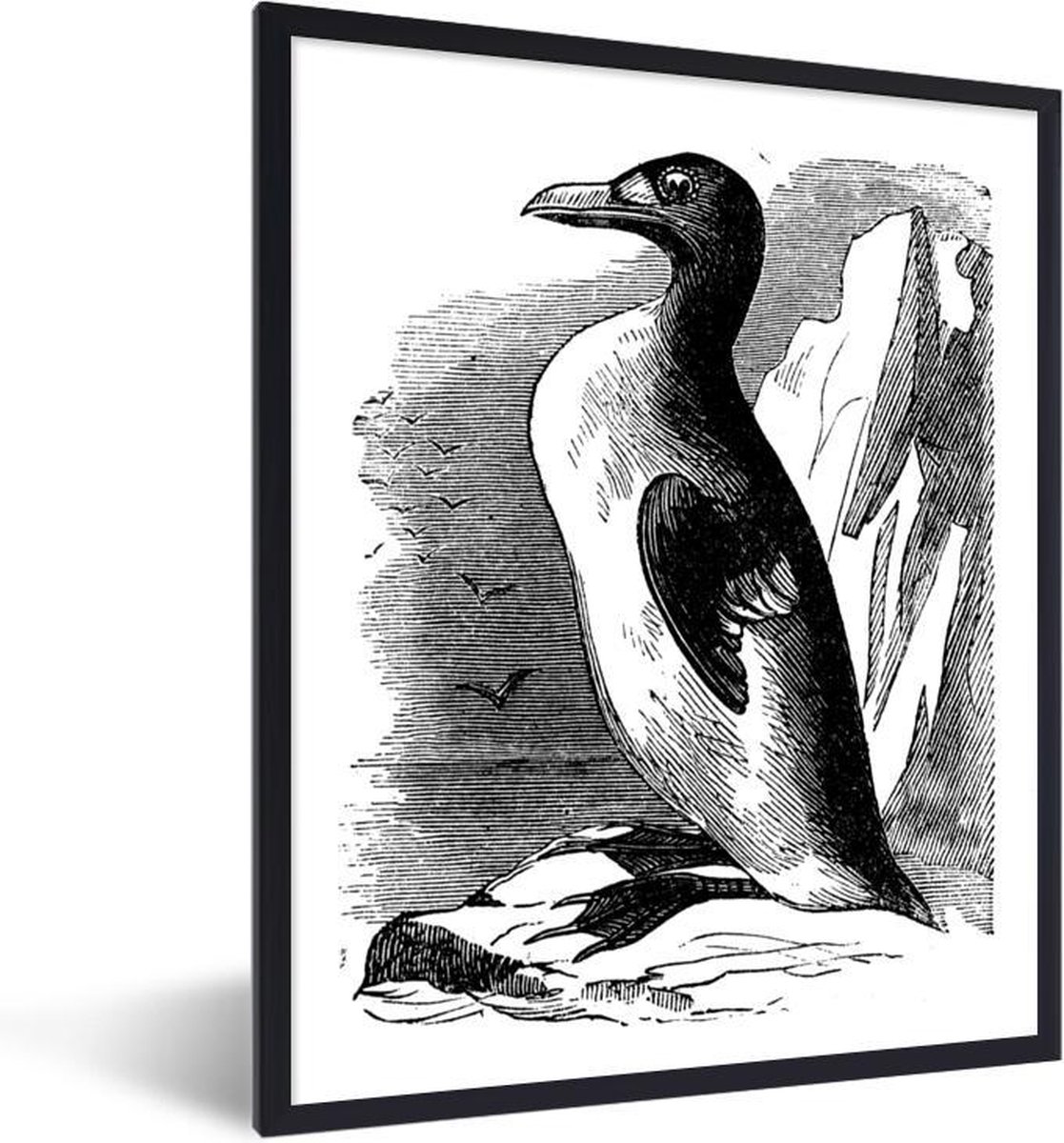 Fotolijst incl. Poster - vintage tekening van een Reuzenalk - 30x40 cm ...