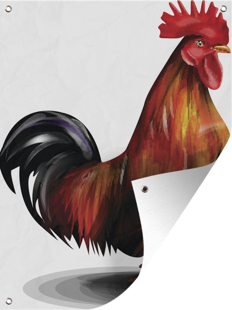 Affiche jardin - Toile jardin - Posters de jardin extérieur ...