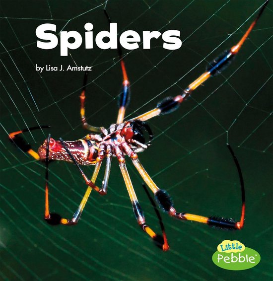 Little Critters - Spiders (ebook), Lisa J. Amstutz | 9781543598209 ...