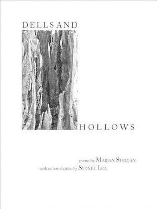 Dells and Hollows, Marjan Strojan | 9780982746653 | Boeken | bol.com