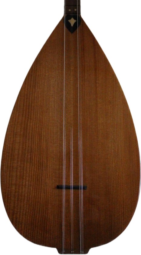 turkse gitaar saz baglama korte hals | bol