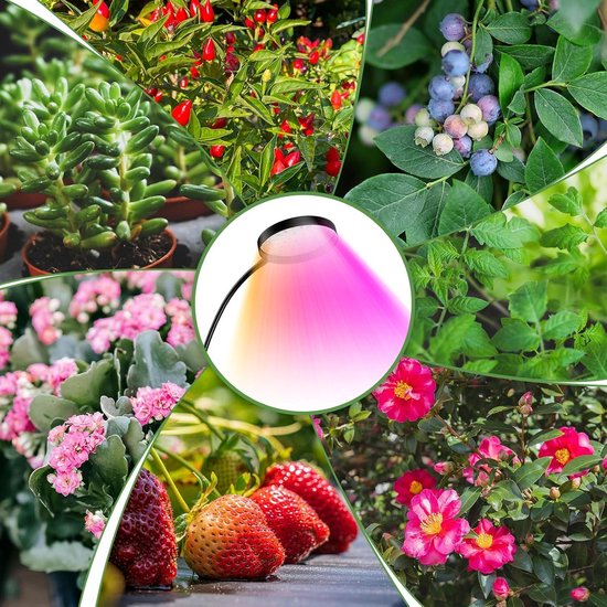 Plant Lamp with Clip for Indoor Plants - Timer 10 Brightness Levels ...