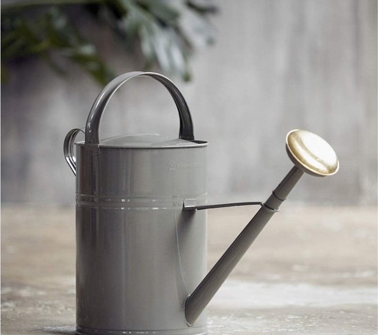 Gieter, 10 Liter, Grijs, 45 cm, Gegalvaniseerd IJzer | bol