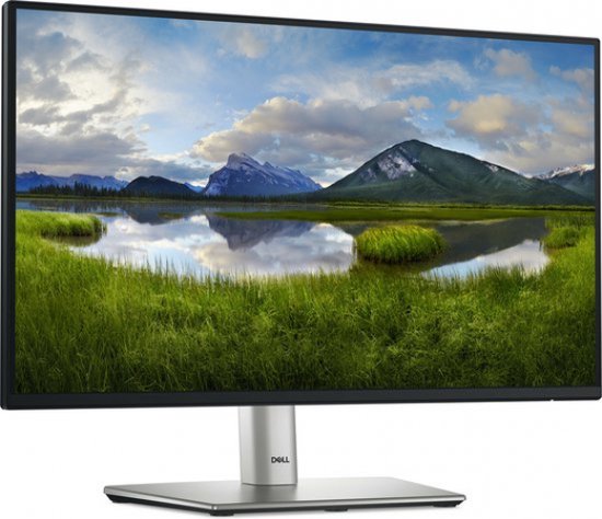 Monitor Dell P2225H 21,5" Full HD 100 Hz | bol