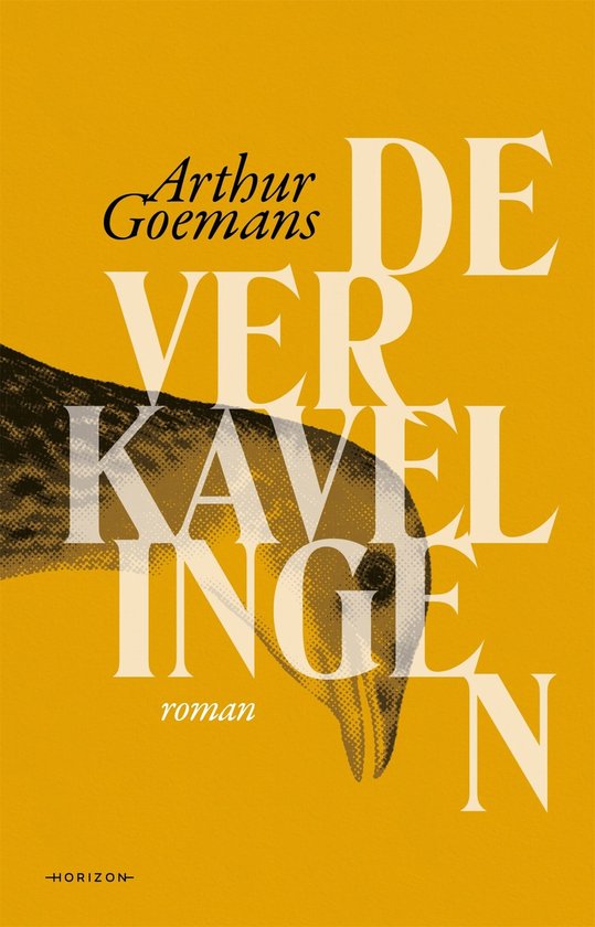 De verkavelingen (ebook), Arthur Goemans | 9789464105193 | Boeken | bol