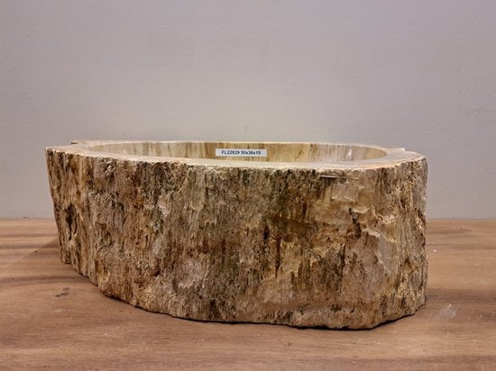 Waskom van versteend hout - 50x36x15cm - FL22829 | bol