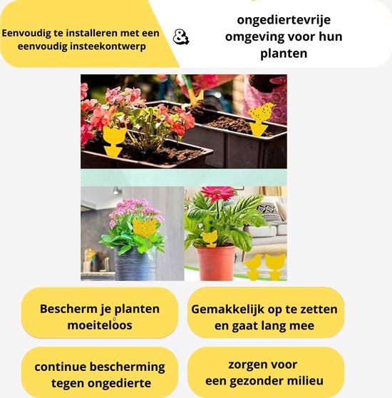 LifeStages - Rouwvliegjes Plakstrips - Schimmelmuggen - Plakbord ...