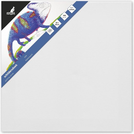 Schildersdoek 30x30cm 100% Katoen met Dennehouten Frame 380g/m2 | bol