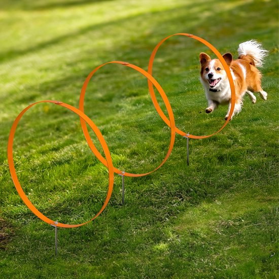 Navaris set van 3 ringen voor honden - Agility voor de hond - 50 cm ...
