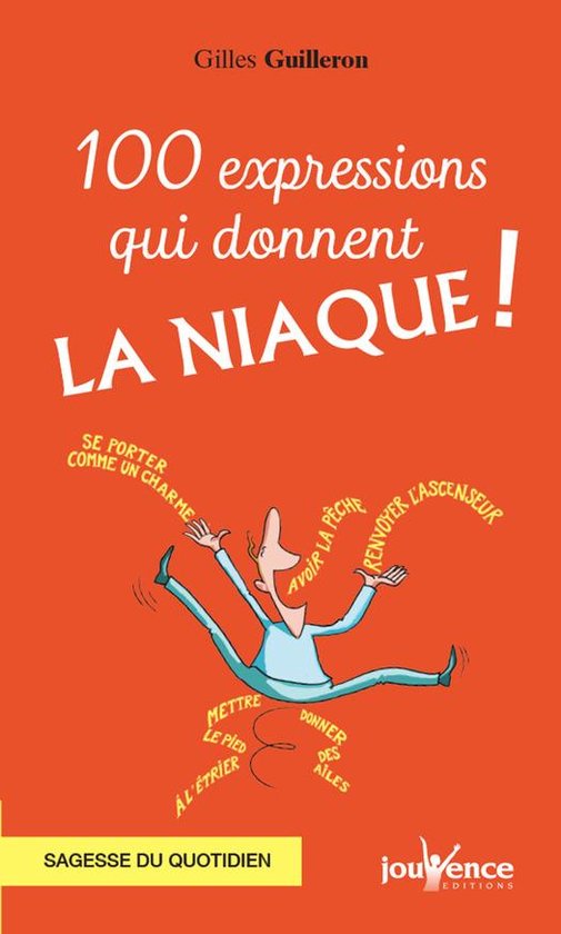 100 expressions qui donnent la niaque ! (ebook), Gilles Guilleron ...