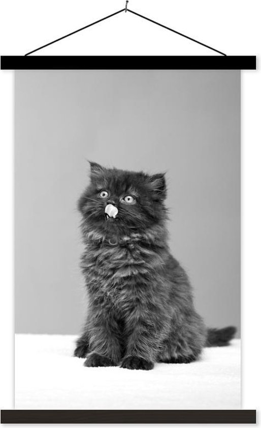 Perzisch katje steekt tong uit - zwart wit | bol.com