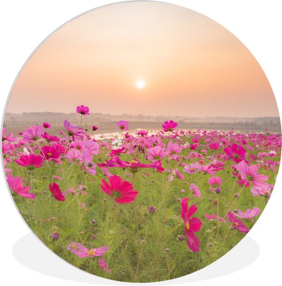 Wall Circle - Wall Circle Indoor - Prairie de Fleurs - Rose ...