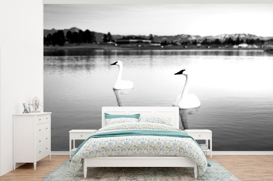 Behang - Fotobehang Twee zwanen bij een zonsondergang worden ...