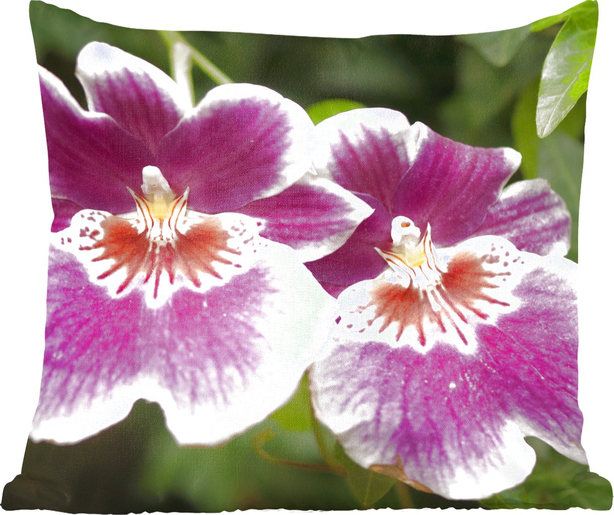 Wilde orchidee | bol.com