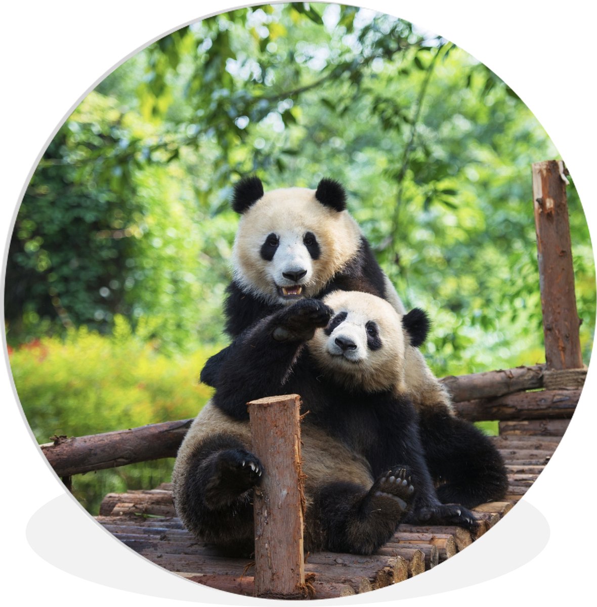 Assiette en plastique cercle mural deux pandas - ⌀ 120 cm - peinture ronde -... | bol.com