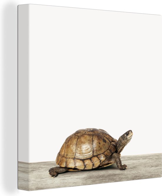 Canvas schilderij dieren - Muurdecoratie kinderkamer - Kinderen - Schildpad - Dieren -... | bol.com