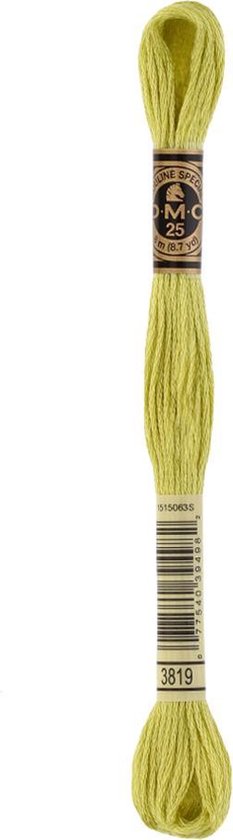DMC Borduurgaren-3819 Lime Groen | bol.com
