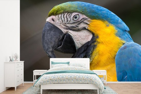 Behang - Fotobehang Blauw en gele ara fotoafdruk - Breedte 390 cm x ...