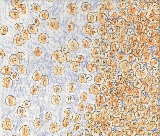 David Greenberger & Dozens - Near The Edge Of The Penny Jar Spil (CD ...