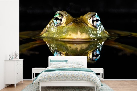 Behang - Fotobehang Kikker - Ogen - Portret - Breedte 600 cm x hoogte ...