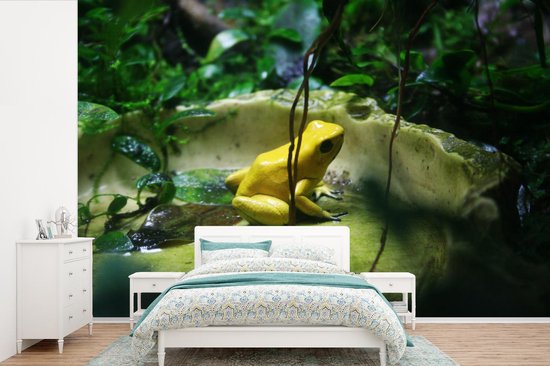 Behang - Fotobehang Kikker - Geel - Tropisch - Breedte 420 cm x hoogte ...