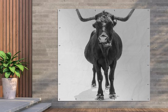 Tuin poster Een zwarte stier met grote hoorns op een witte achtergrond ...