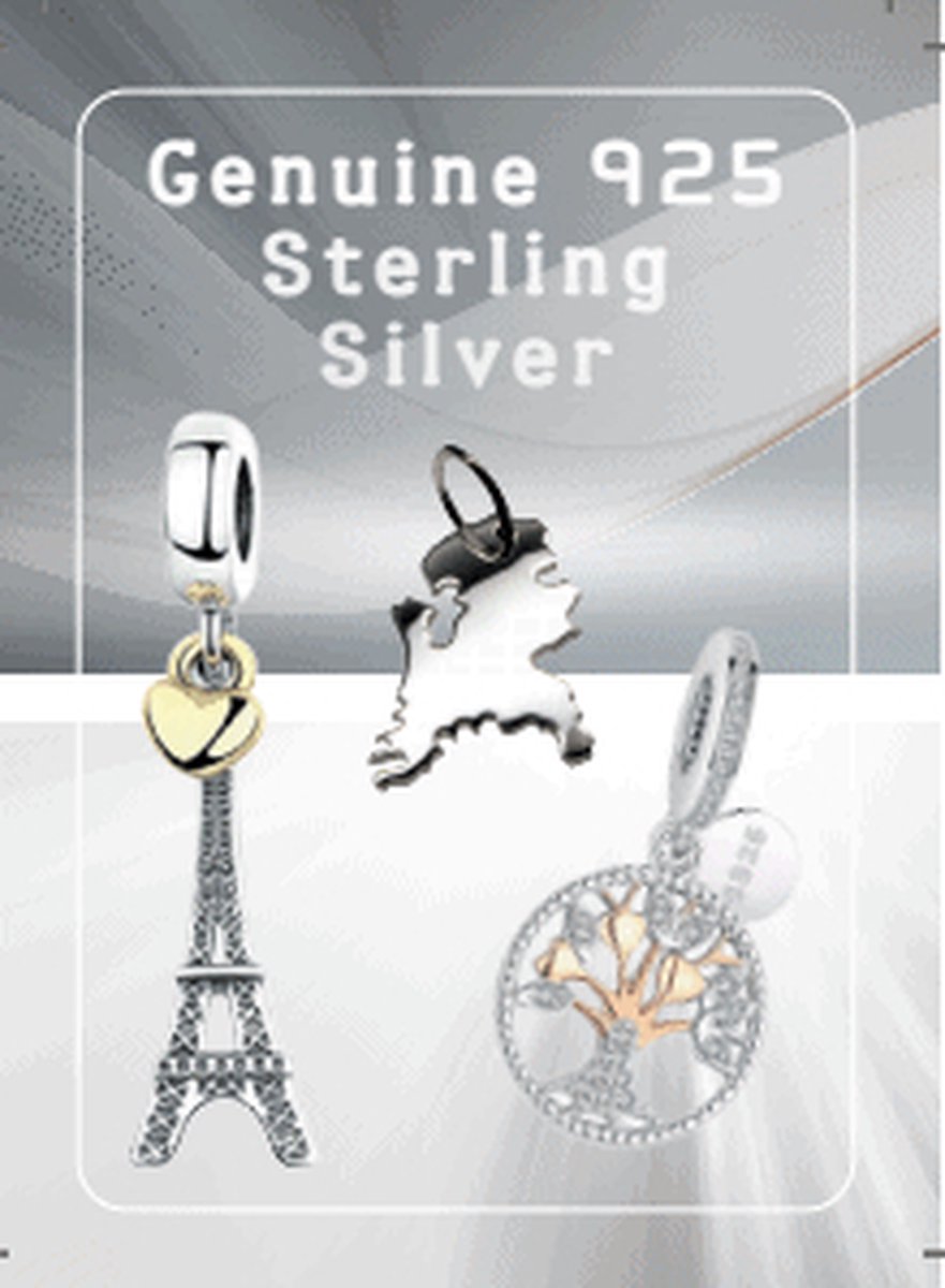 Tracelet - Zilveren bedels - Bedel Motor | 925 Sterling Zilver ...