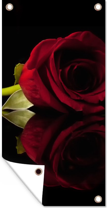 Décoration murale d'extérieur Roses - Zwart - Rouge - 80x160 cm - Toile ...
