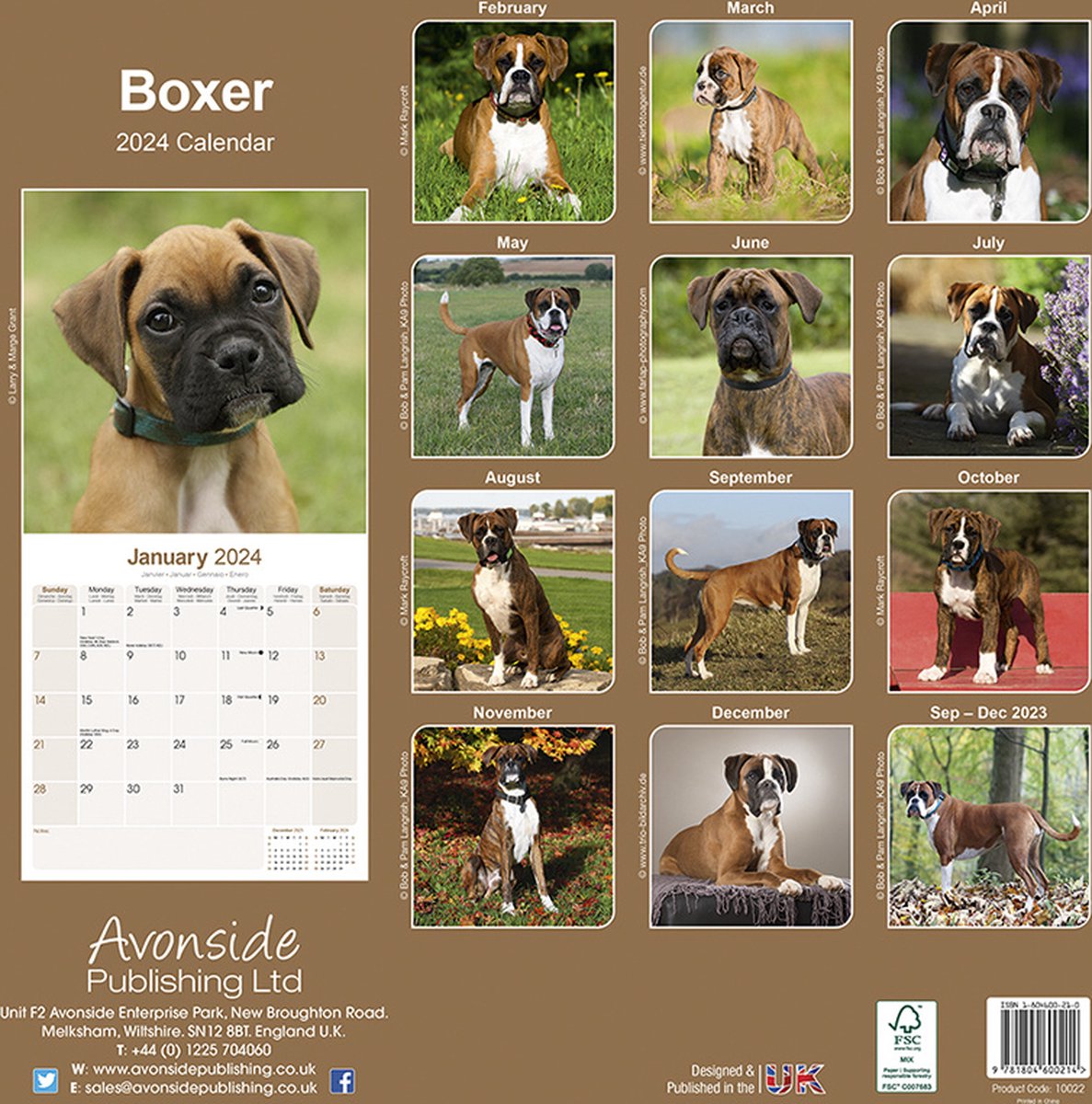 Boxer Kalender 2024 (euro) | bol