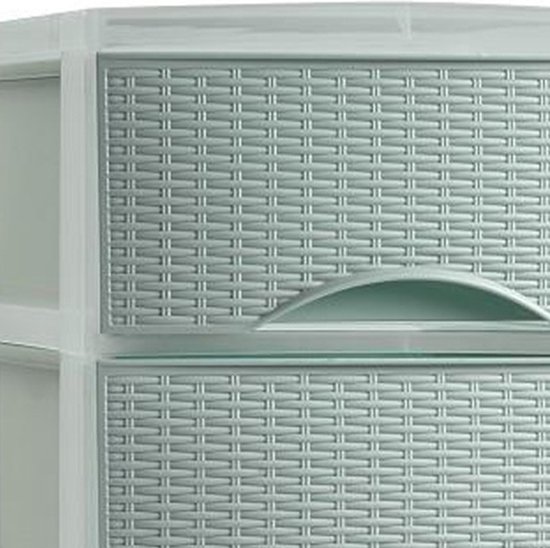 PlasticForte Thuis kantoor organizer ladeblok - 2x - 25 x 37 x 26 cm ...