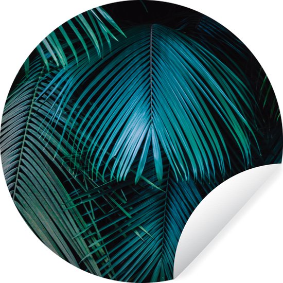 WallCircle - Muurstickers - Behangcirkel - Palmblad - Tropisch - Natuur - Jungle -... | bol.com