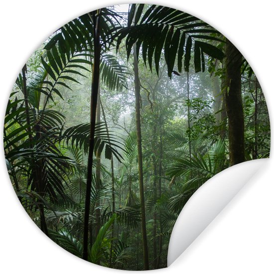 WallCircle - Muurstickers - Behangcirkel - Regenwoud - Tropisch - Jungle - Bomen -... | bol