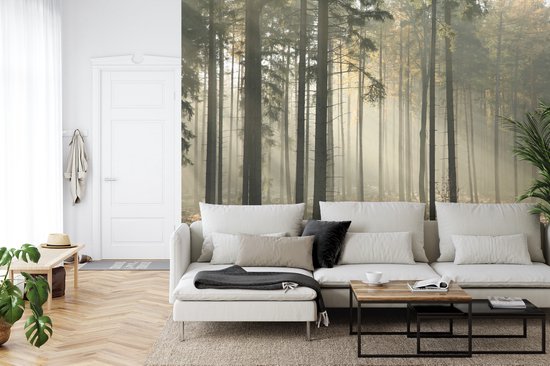 Fotobehang Bos Bomen Mist - Vliesbehang - 254 x 184 cm | bol.com