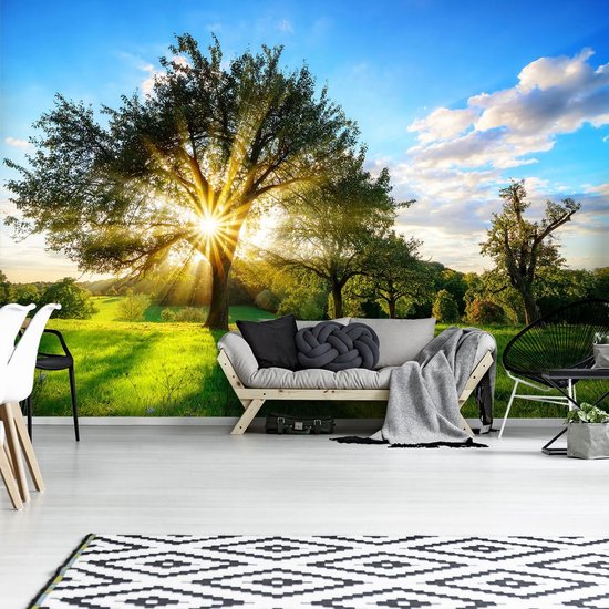 Fotobehang - Vlies Behang - Boom met Zonsopgang - Landschap - 416 x 290 ...