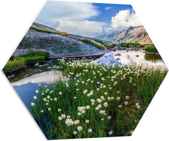 PVC Schuimplaat Hexagon - Bergen - Water - Planten - Bloemen - Wolken ...